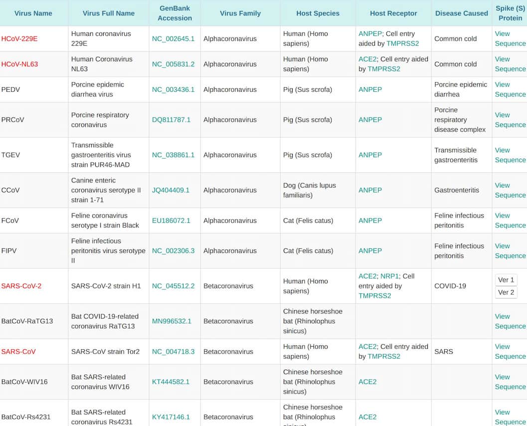 Lentivirus Pseudotyped with Coronavirus S Protein | VectorBuilder
